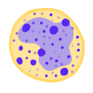 All About Blood – Los Alamos STEAM Lab