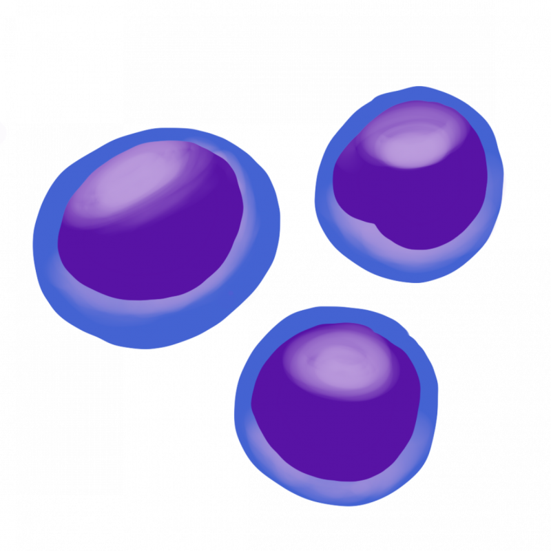 All About Blood – Los Alamos STEAM Lab