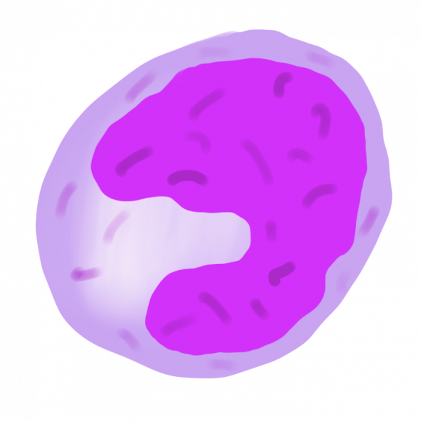 All About Blood – Los Alamos STEAM Lab